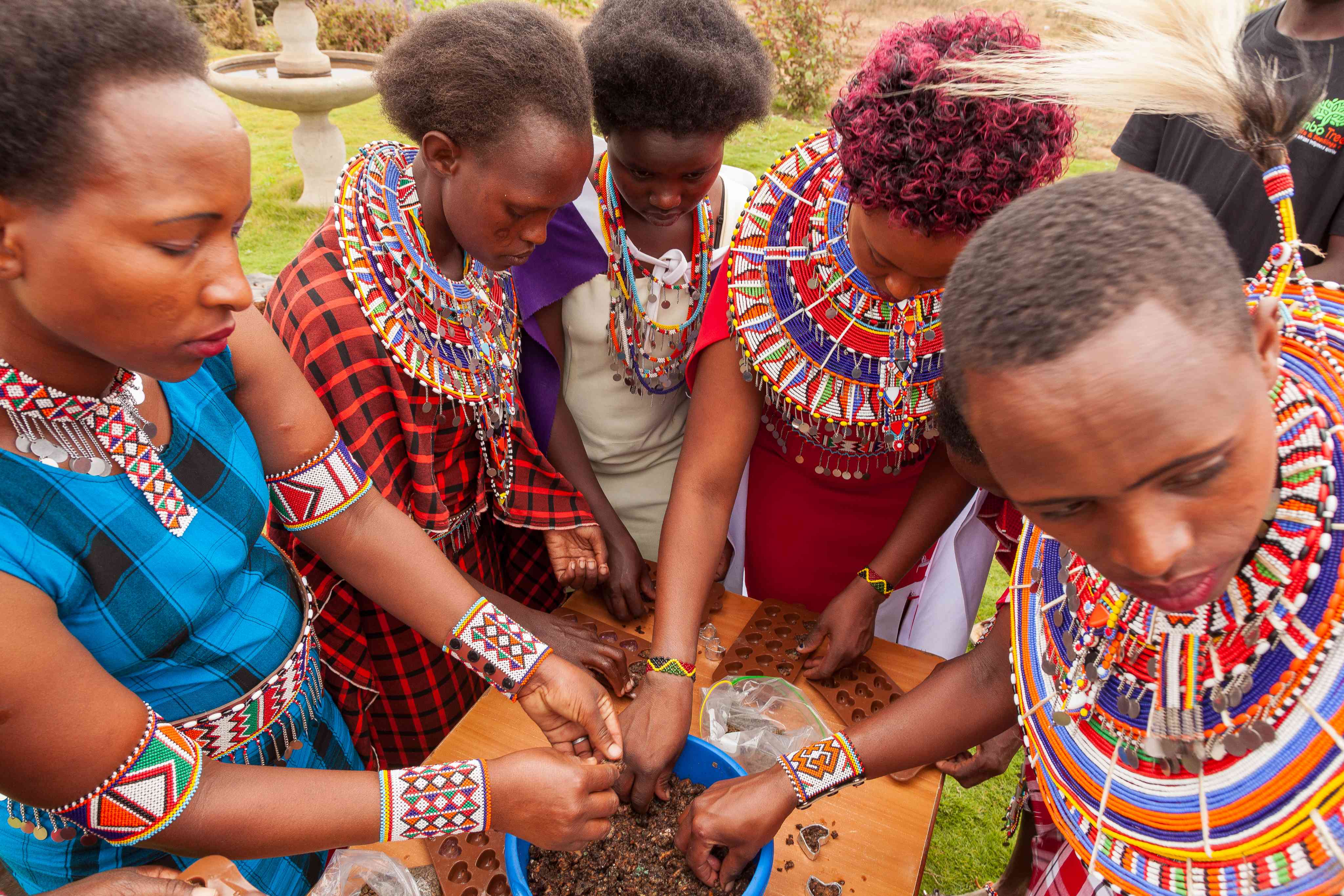 Jambo Tree Kenya - Worldwide Exporters of African Trees, fruits ...