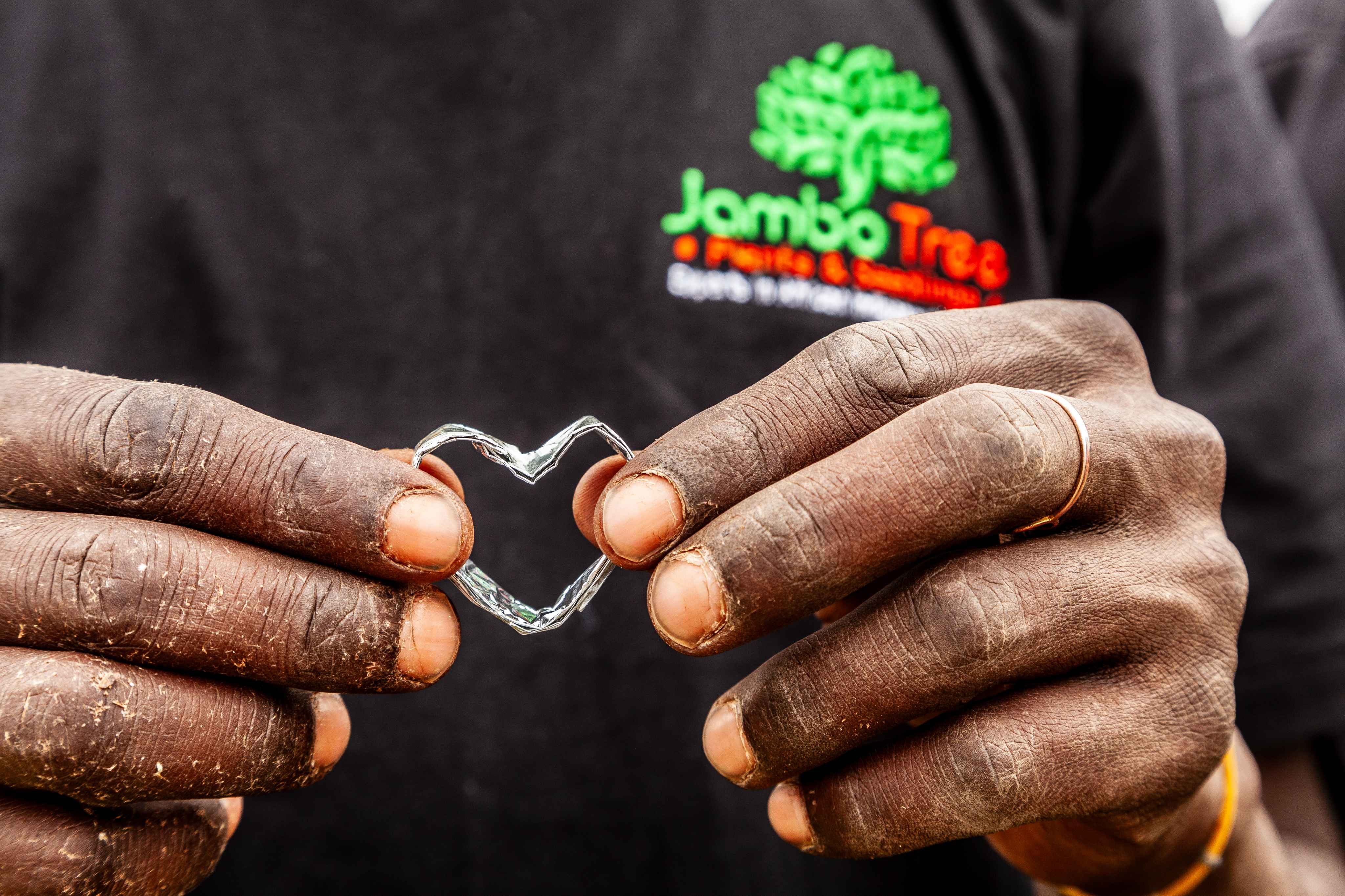 Jambo Tree Kenya - Worldwide Exporters of African Trees, fruits ...