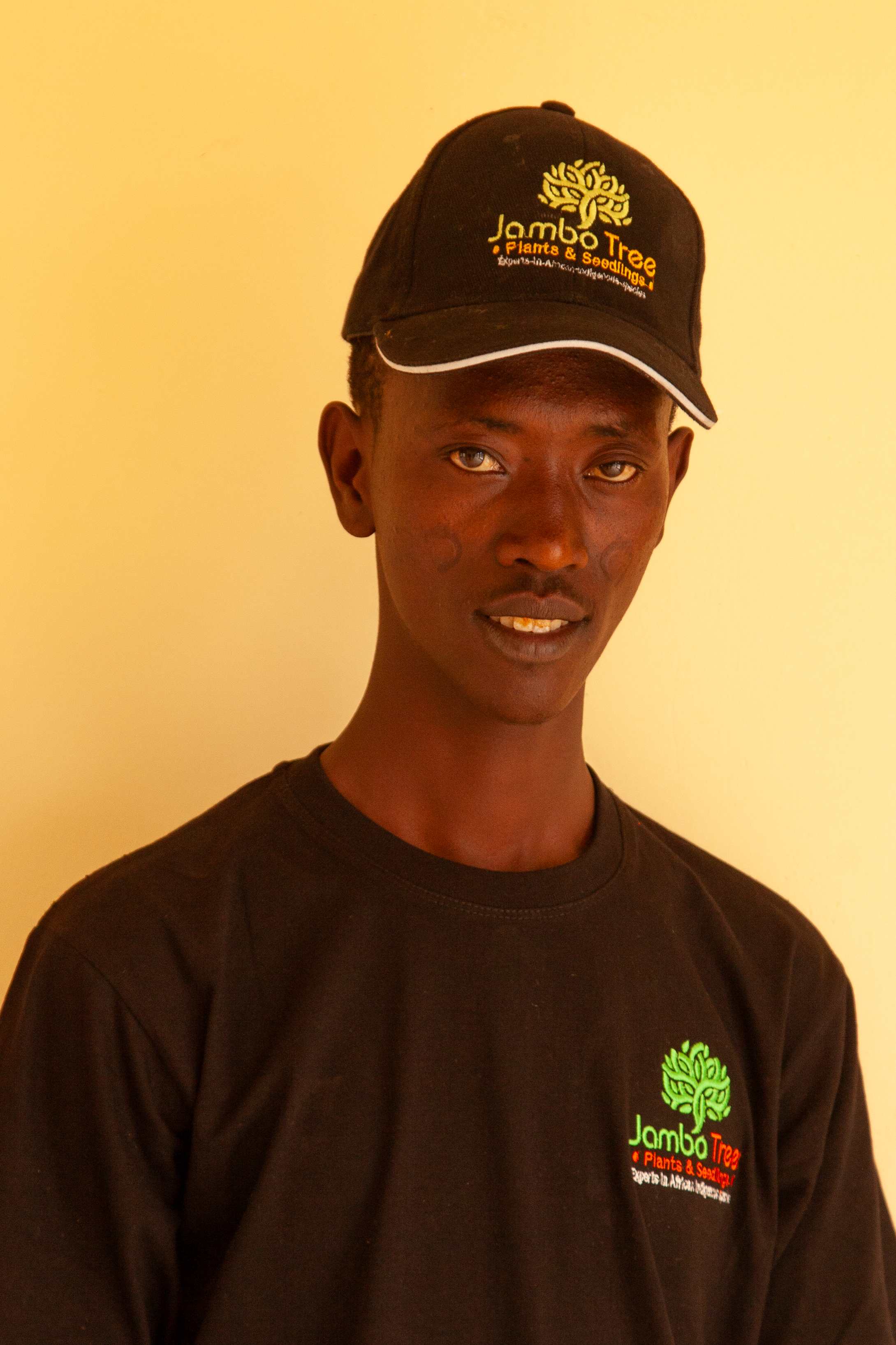 Jambo Tree Kenya - Worldwide Exporters of African Trees, fruits ...